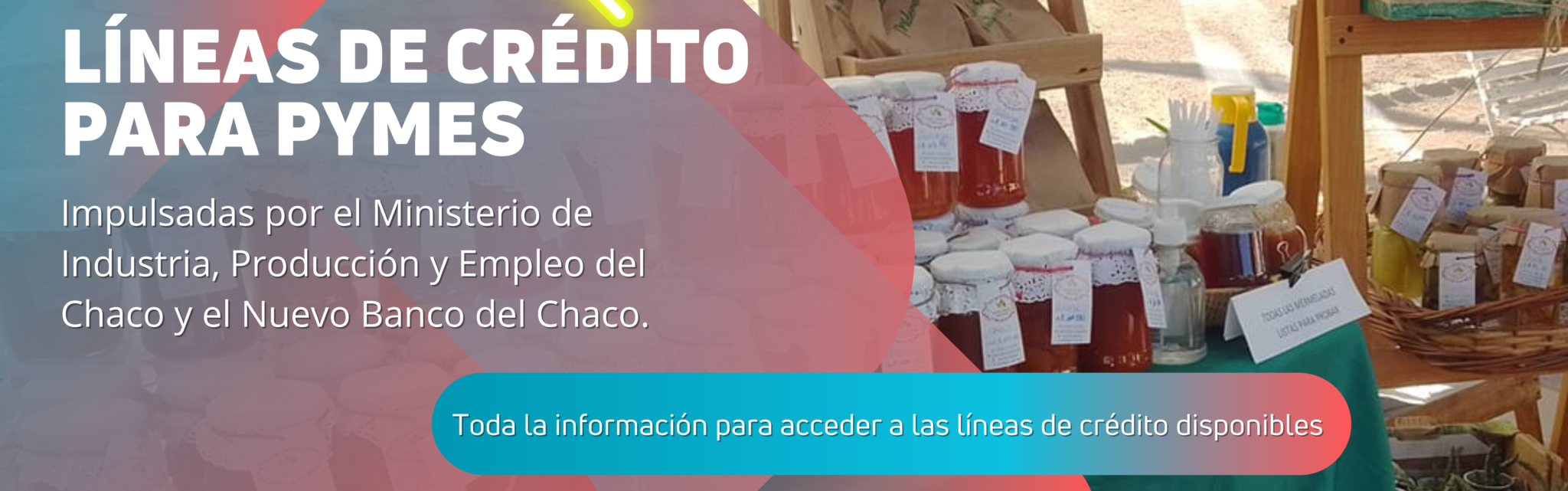 Líneas de crédito para pymes - Fabricio Bolatti